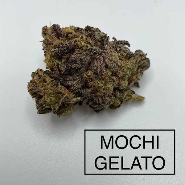 MOCHI GELATO – AAA WeedRunner