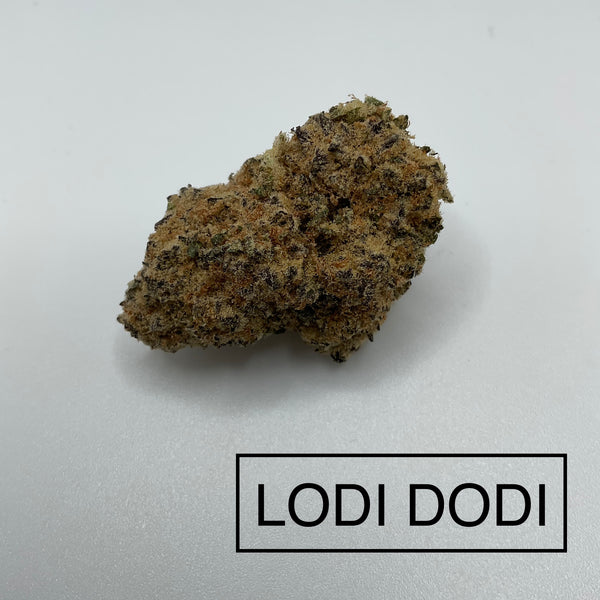 LODI DODI – AAA WeedRunner